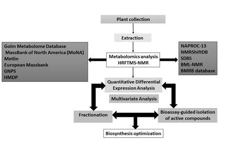 A Flowchart Showing The Application Of Metabolomics In Dereplication Download Scientific Diagram