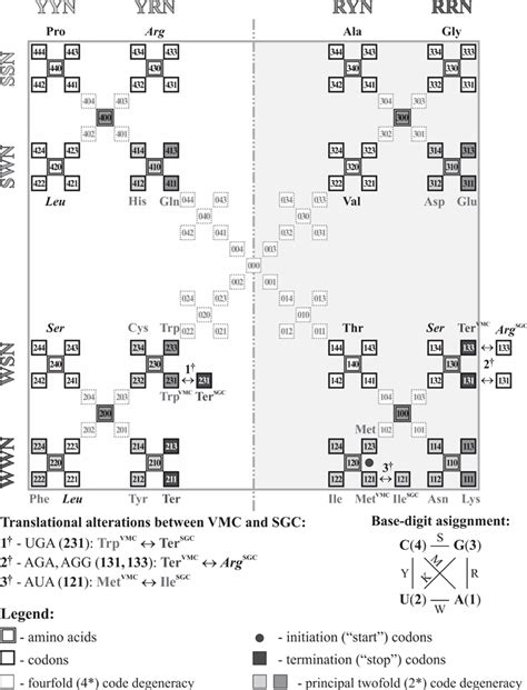 Euclidean Distance Representation Of The P Adic Model Of Vmc And Sgc Download Scientific