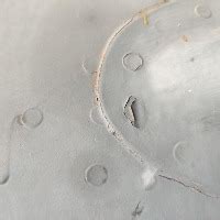 Like Youssef Donia Fhktl Aircraft Damage Detection Roboflow Universe Search