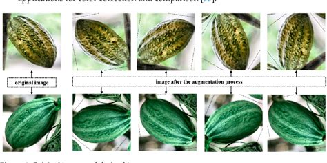 Figure 4 From Classification Of Cocoa Pod Maturity Using Similarity Tools On An Image Database
