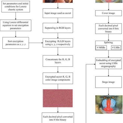 Proposed Algorithm For Information Hiding Of Digital Image Download