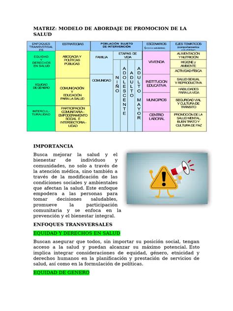 Matriz Modelo De Abordaje De Promocion De La Salud Pdf Igualdad De