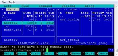 rebex terminal emulation screenshots