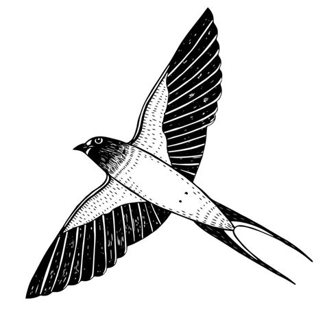 One Swallow In Flight Premium Ai Generated Vector