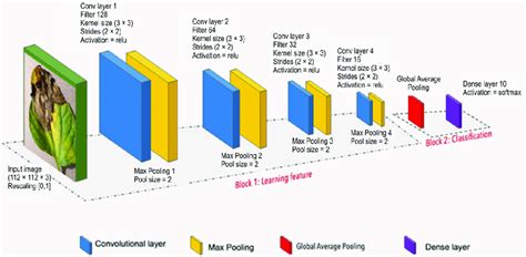 Representation Of The Proposed Algorithm For Tomato Disease Detection Download Scientific Diagram