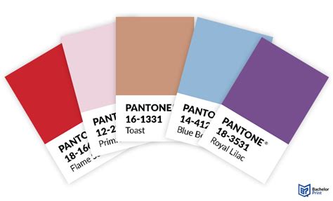 Color System ~ Understanding How Colors Work