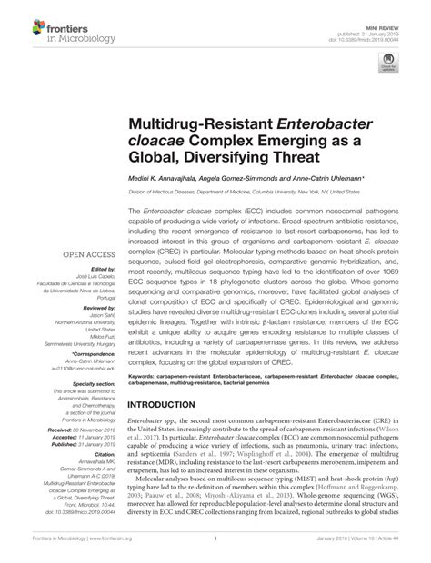 Pdf Multidrug Resistant Enterobacter Cloacae Complex Emerging As A Global Diversifying Threat