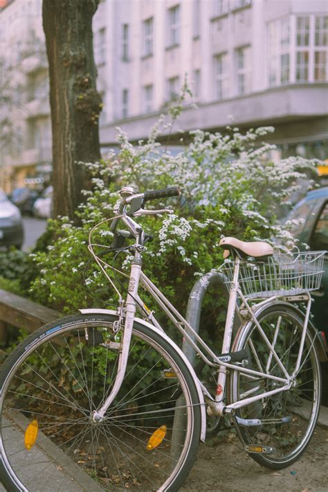 무성한 녹지 옆에 자전거가 주차되어 있습니다 사진 Unsplash의 무료 꽃 이미지