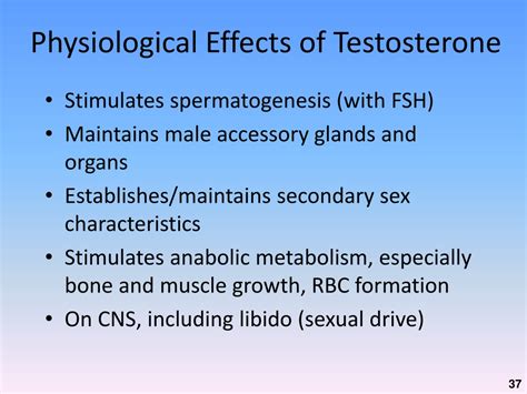 Ppt The Reproductive System Functions And Processes Powerpoint