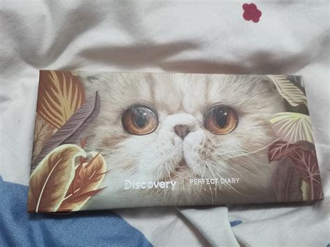 完美日记眼影怎么样好用吗 好物推荐完美日记小猫盘 什么值得买