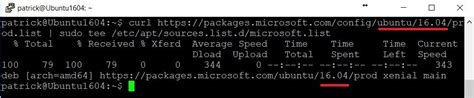 Installing PowerShell 7 On Linux Via Public Repository SID 500