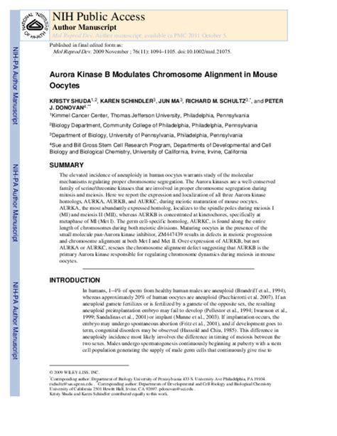Pdf Aurora Kinase B Modulates Chromosome Alignment In Mouse Oocytes