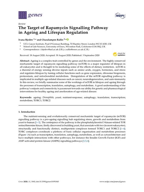 The Target Of Rapamycin Signalling Pathway In Ageing And Lifespan