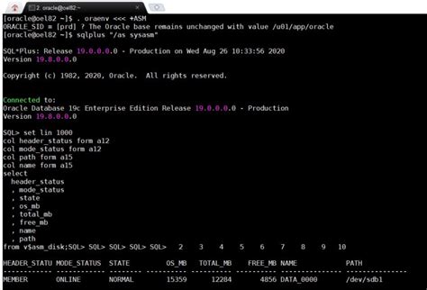 How To Resize An Asm Disk Mufalani Dba Ocm