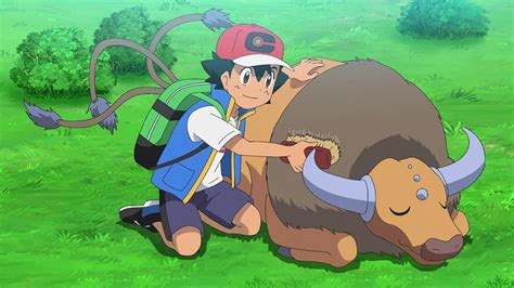 Ashs Tauros Pokemon Reboot Ash New Begining Wiki Fandom