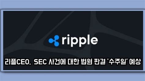 리플ceo Sec 사건에 대한 법원 판결 수주일 예상 우 미 연의 읽어주는 크립토뉴스 Youtube