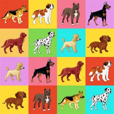 Набор собак с фоном для возможной упаковки или графической Бесплатно векторы