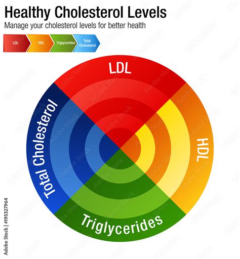 Total Blood Cholesterol HDL LDL Triglycerides Chart Stock Vector Adobe Stock