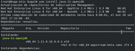 Instalar Java OPENJDK En Red Hat Enterprise Linux Telodijoelbuga