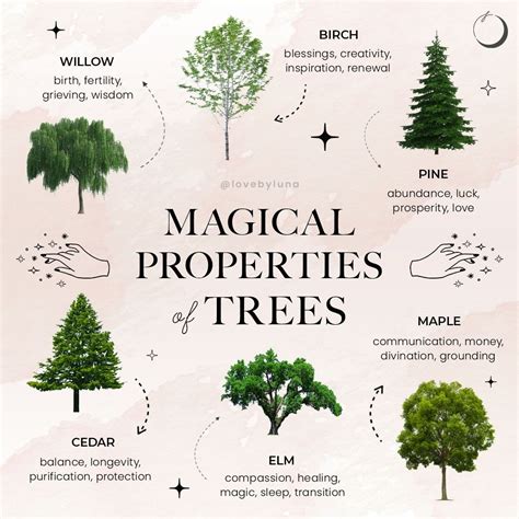 Love By Luna® On Instagram “magical Properties Of Trees Pt 1 🌳 Many