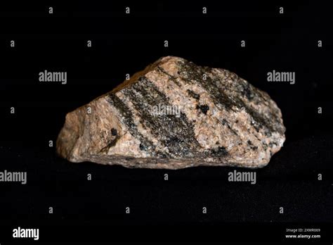 Granulite Facies Metamorphism
