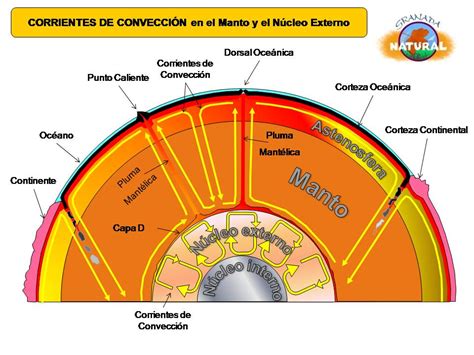 Tectónica De Placas Smiles With Biology