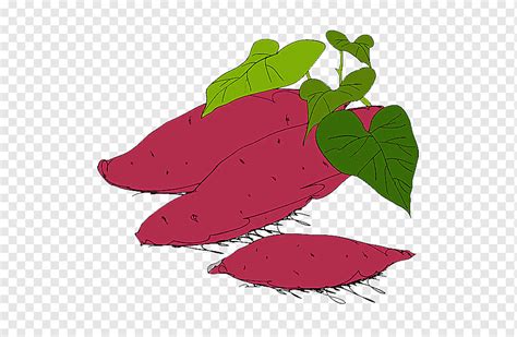 고구마 튀김 야채 일러스트 고구마 음식 잎 환경 Png Pngwing
