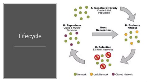 Introduction To Genetic Algorithm Pptx