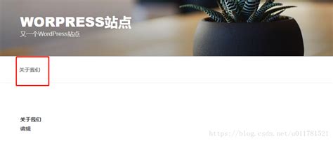 Wordpress系列教程二 Wordpress基本使用和常用设置wordpress使用教程 Csdn博客