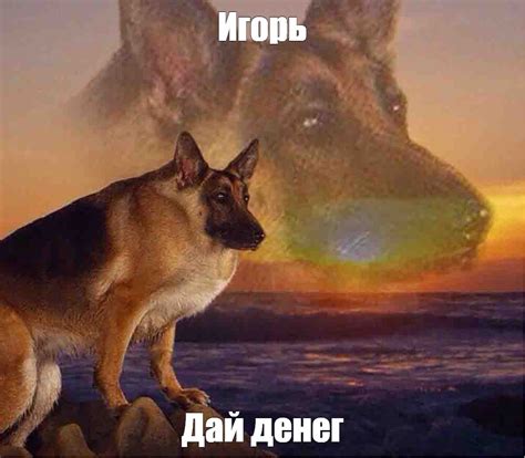 Meme Игорь Дай денег All Templates Meme