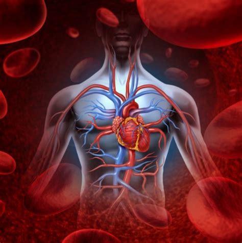 Ето простият навик за който учени разкриха че предпазва от инсулт и инфаркт За Жената