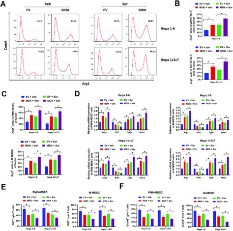 Hepatocellular Midkine Overexpression Induces T Cell Suppressive Mdsc