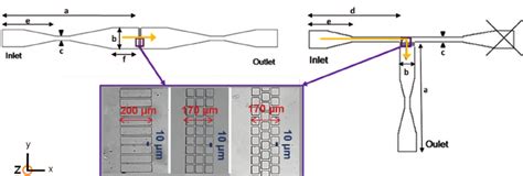 Sketch Of The Pdms Micro Separators Working In The Dead End Left Or Download Scientific