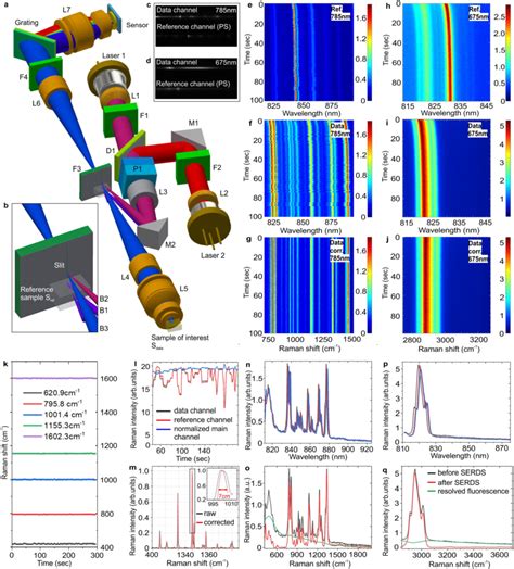 Optical Layout And Working Principle Of Miniaturized Raman System A Download Scientific Diagram