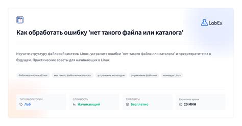 Ошибка No Such File Or Directory в Linux как исправить и предотвратить Labex