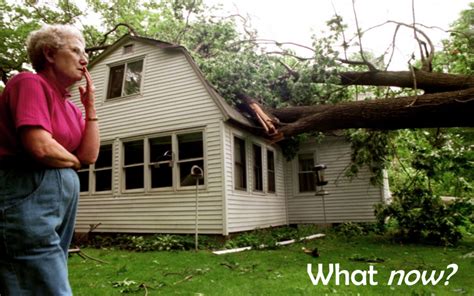 Help A Tree Just Fell On My House