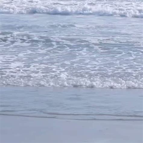 𝙥𝙪𝙘𝙝𝙞 ˚ෆ ₊ Puchi B Twitter