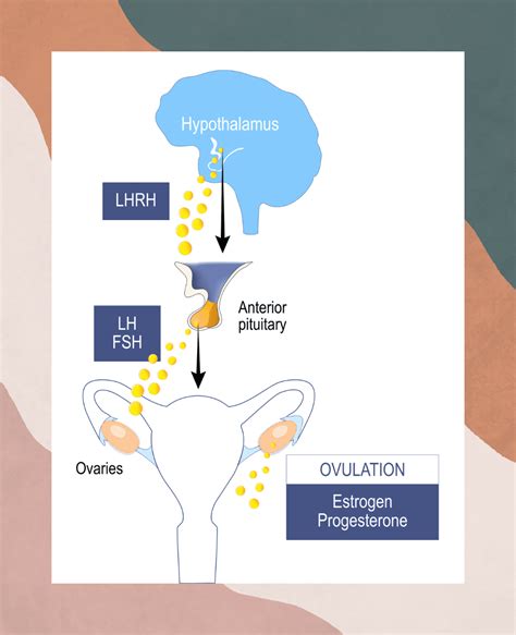 Precocious Puberty Hair