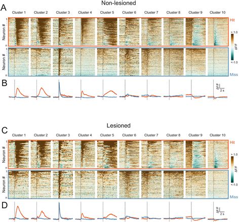 Figures And Data In Midbrain Encodes Sound Detection Behavior Without Auditory Cortex Elife