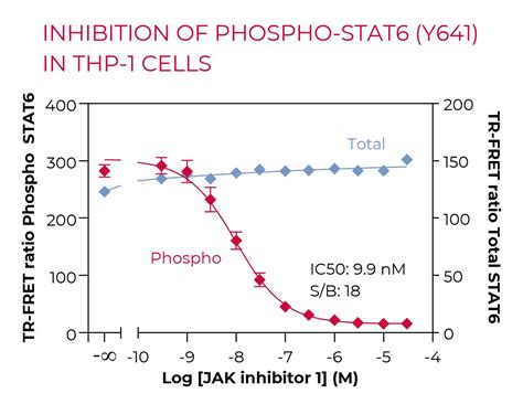 Thunder™ High Performance Phospho Stat6 Y641 Total Stat6 Tr Fret