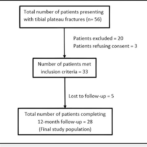 Measurement Of The Angles To Assess The Proximal Tibia Alignment A Download Scientific