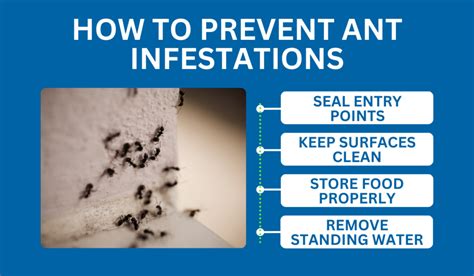Does Baking Soda Kill Ants Heres What To Know Simple Pest