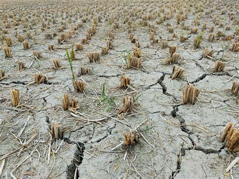 Understanding The Difference Between Meteorological And Hydrological Drought