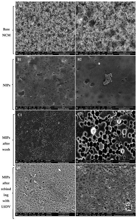 Development Of Paper Based Fluorescent Molecularly Imprinted Polymer Sensor For Rapid Detection