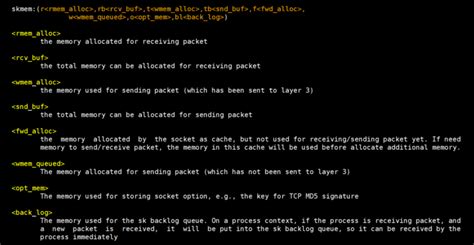 top 14 ss command examples to monitor socket connections