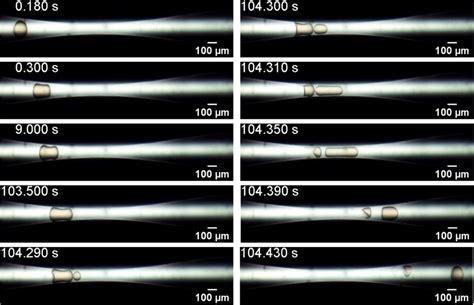 Evolution Of The Microcapsule Position And Configuration As It Flows