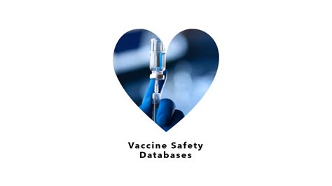 How Vaccine Safety Databases Support Clinical Research