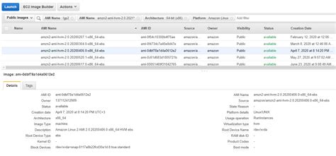 Amazon Web Services Terraform Aws Ami Datasource Filter Problem