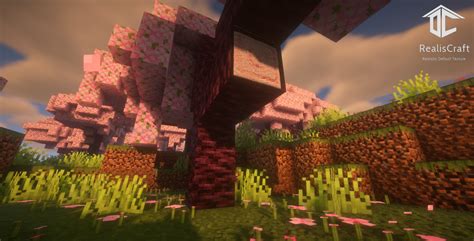 Realiscraft Je Realistic Default Textures Minecraft Resource Packs Curseforge