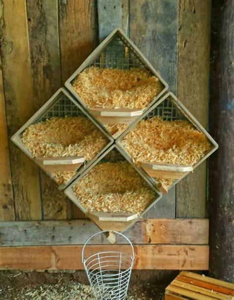 What To Put In Your Nesting Boxes At James Fritts Blog